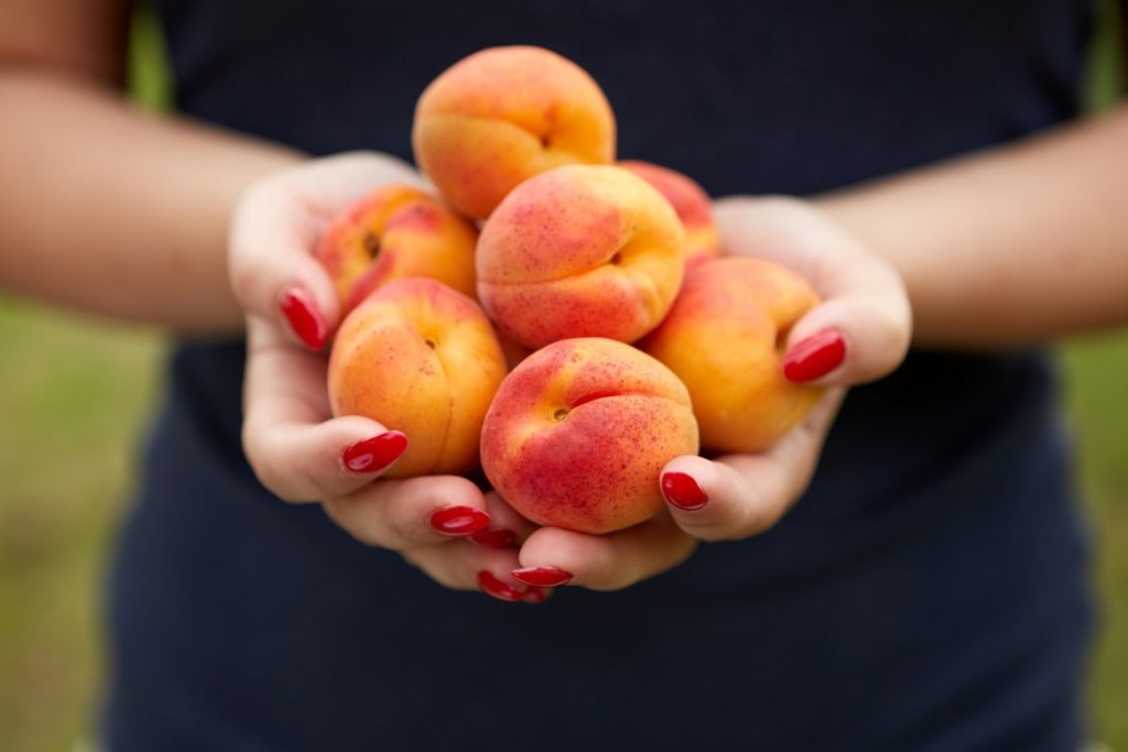 How To Get Free Fruit Good News Unlimited Eliezer Gonzalez