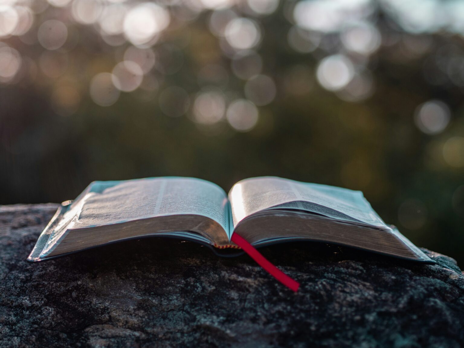 The Word That Cuts Deep – Hebrews 4:11–13 | Good News Unlimited