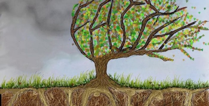 Continue To Grow In Grace – Tom Durst | Good News Unlimited