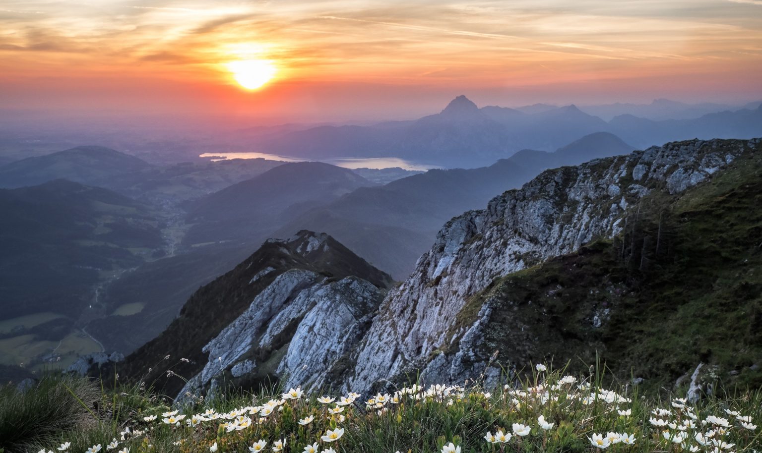 Unlimited: Asking Without Understanding | Good News Unlimited