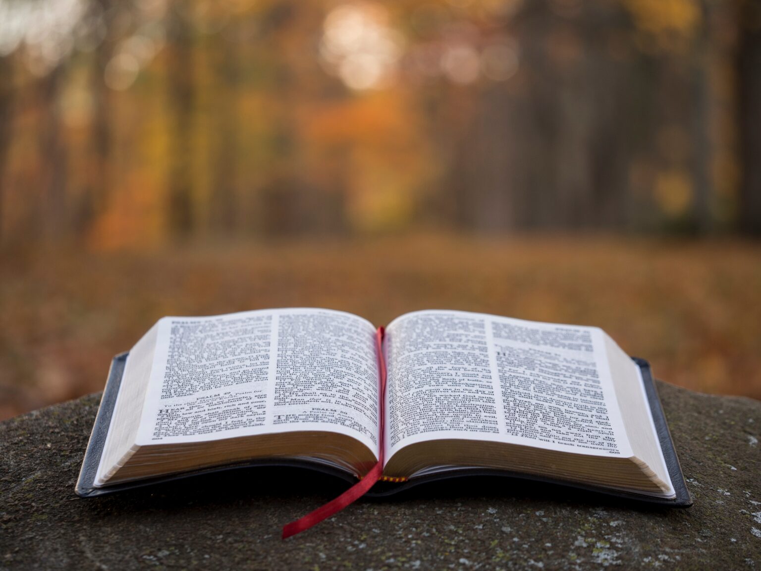 Unlimited: Scripture Must Be Fulfilled | Good News Unlimited