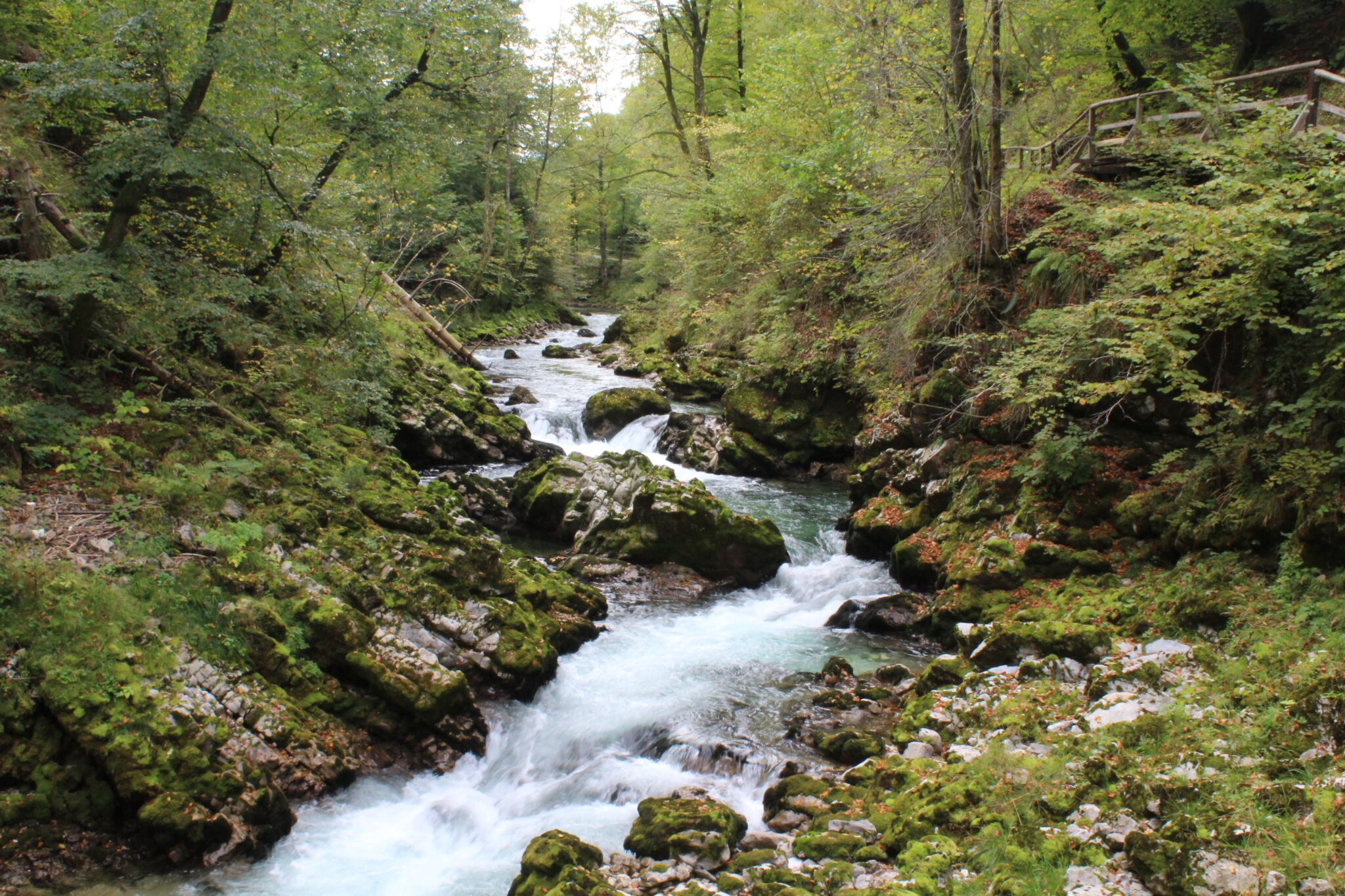 Unlimited: The Message We Proclaim | Good News Unlimited