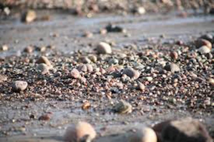 Seeds On Rocky Soil – By Ritchie Way | Good News Unlimited